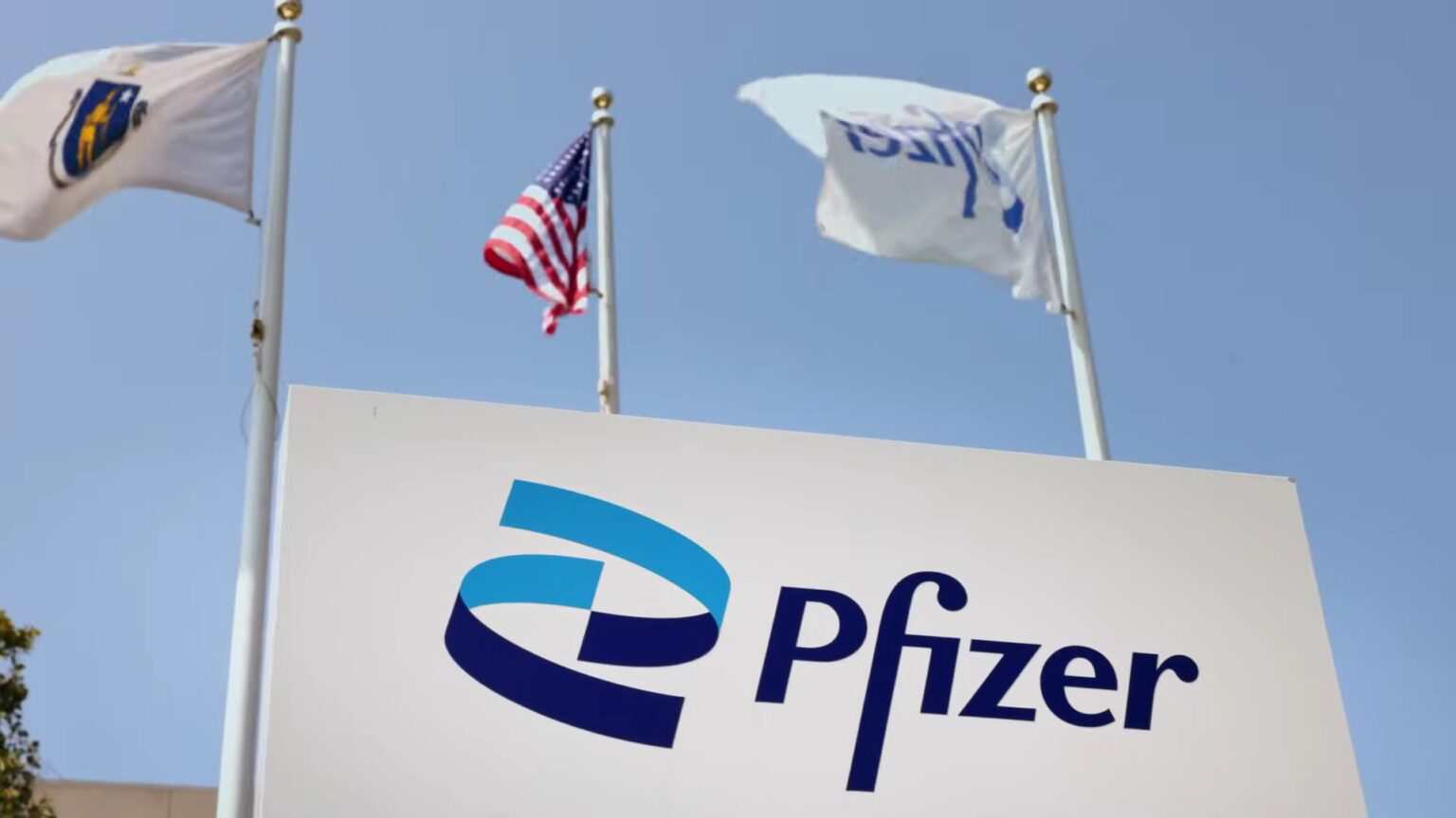 Pfizer intră în forță pe piața obezității: injecție lunară